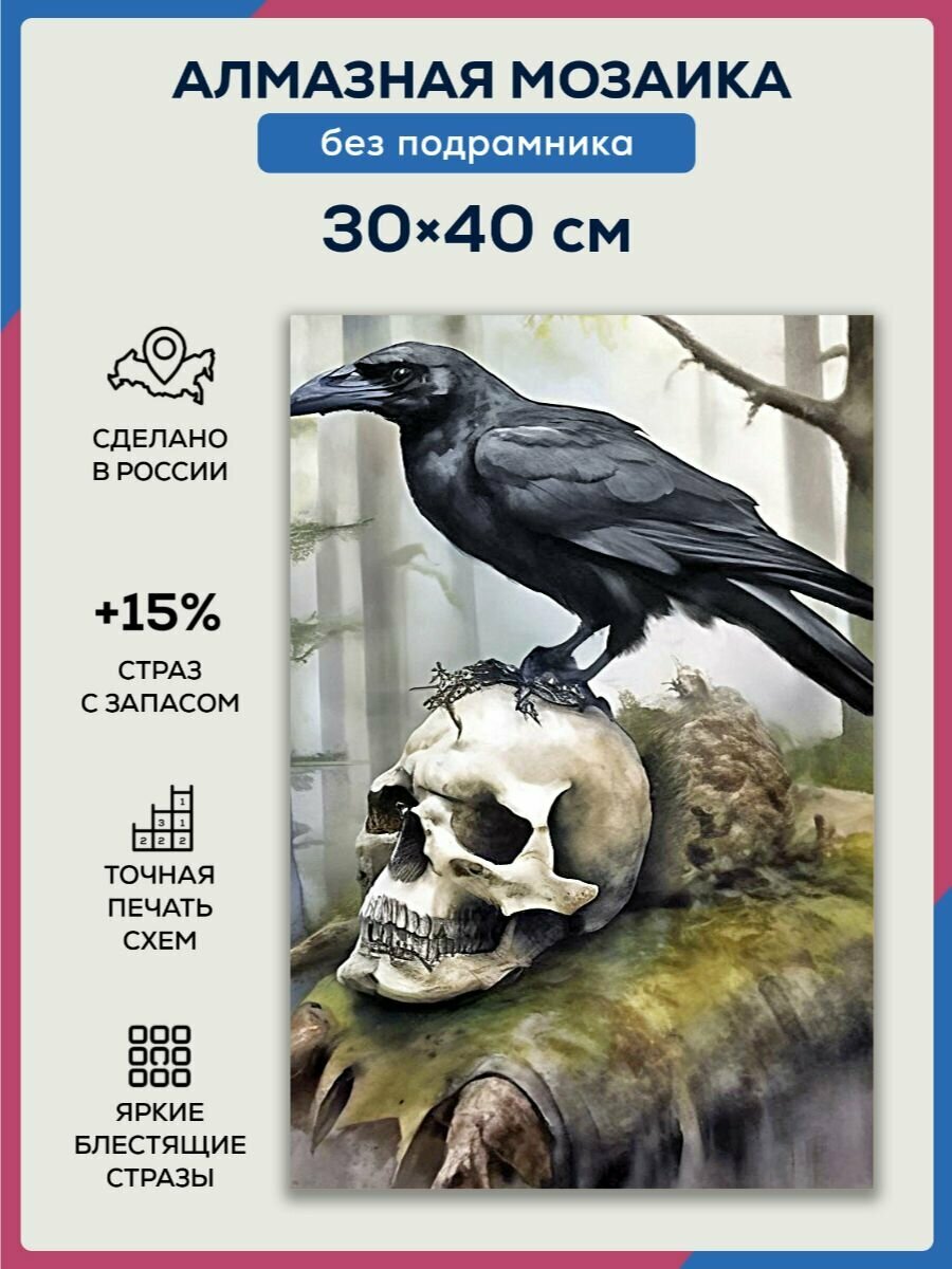 Алмазная мозаика 30x40 Ворон на черепе без подрамника