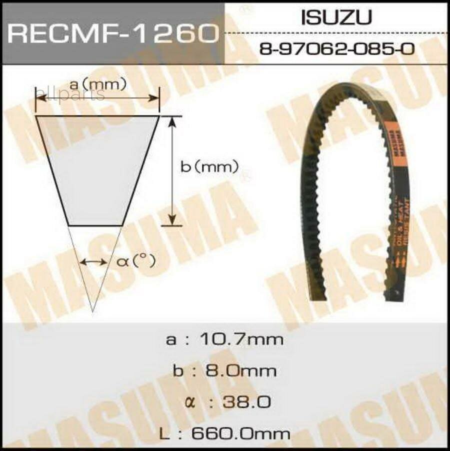 MASUMA 1260 Ремень клиновый
