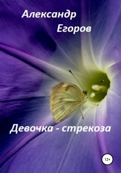 Девочка – стрекоза [Цифровая книга]