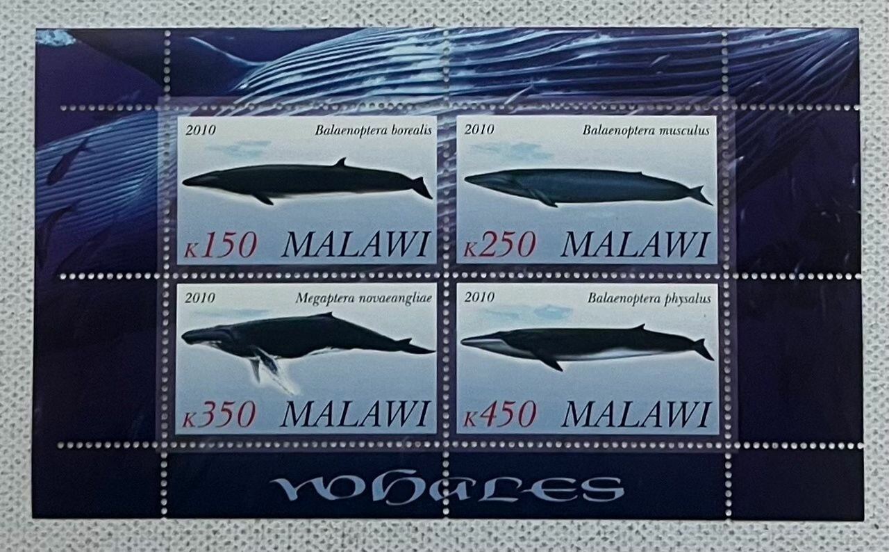 Малави Марки Морская фауна ; Киты 2010 года (4 штуки в наборе)