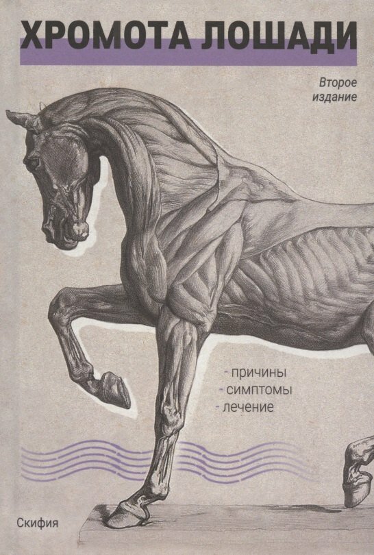 Хромота лошади (Джеймс Р. Руни)