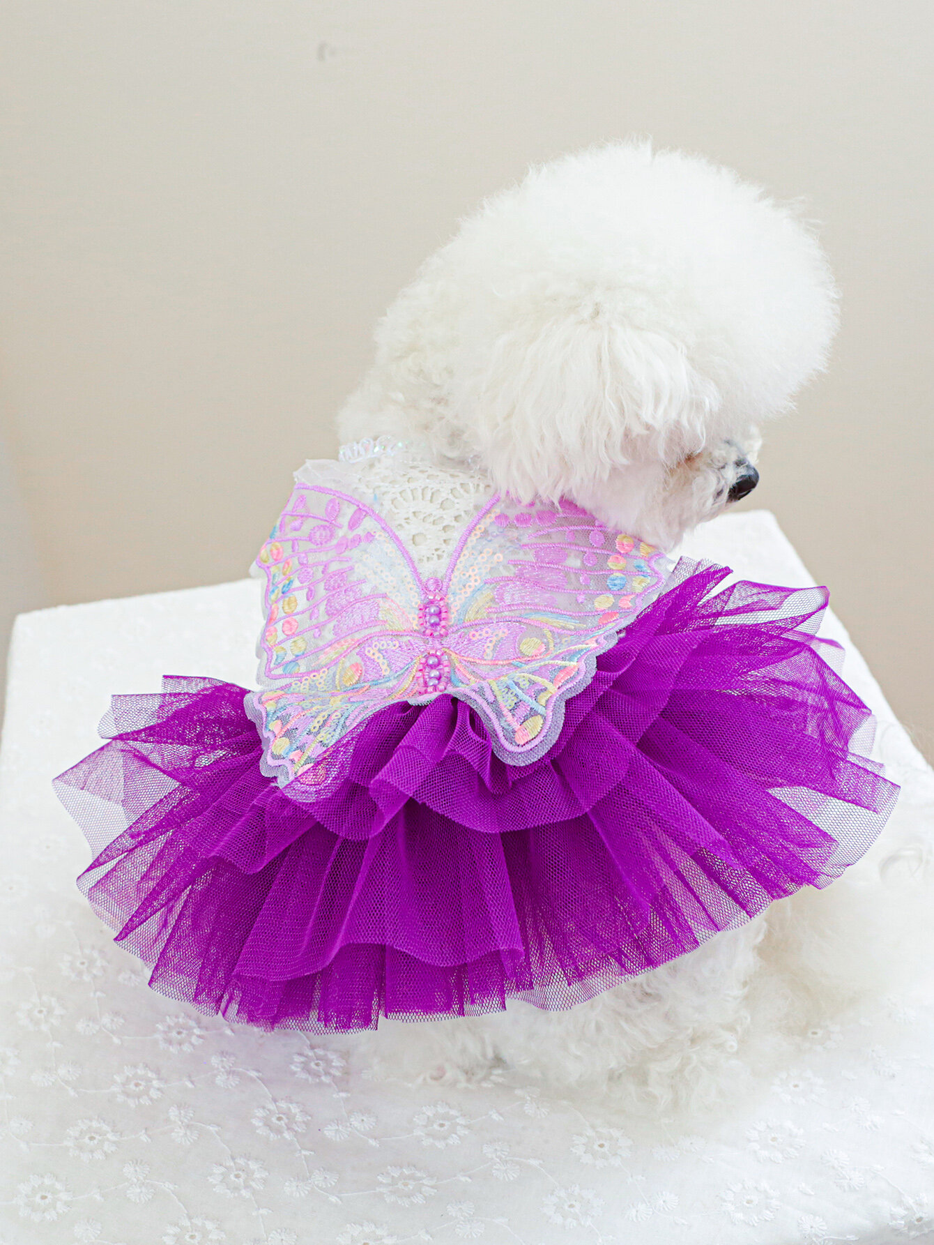 Домашние собаки и кошки могут носить роскошные юбки, BEAUTY DOG, фиолетовые, высококачественные ткани, удобные и теплые
