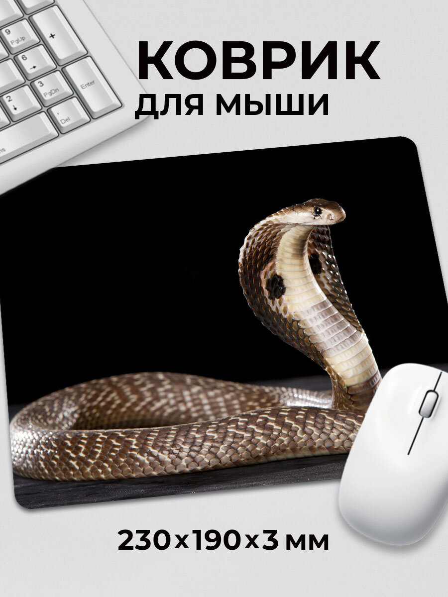 Коврик для мышки игровой Змея Кобра Красивая Змейка c тканевой поверхностью, на нескользящем резиновом основании