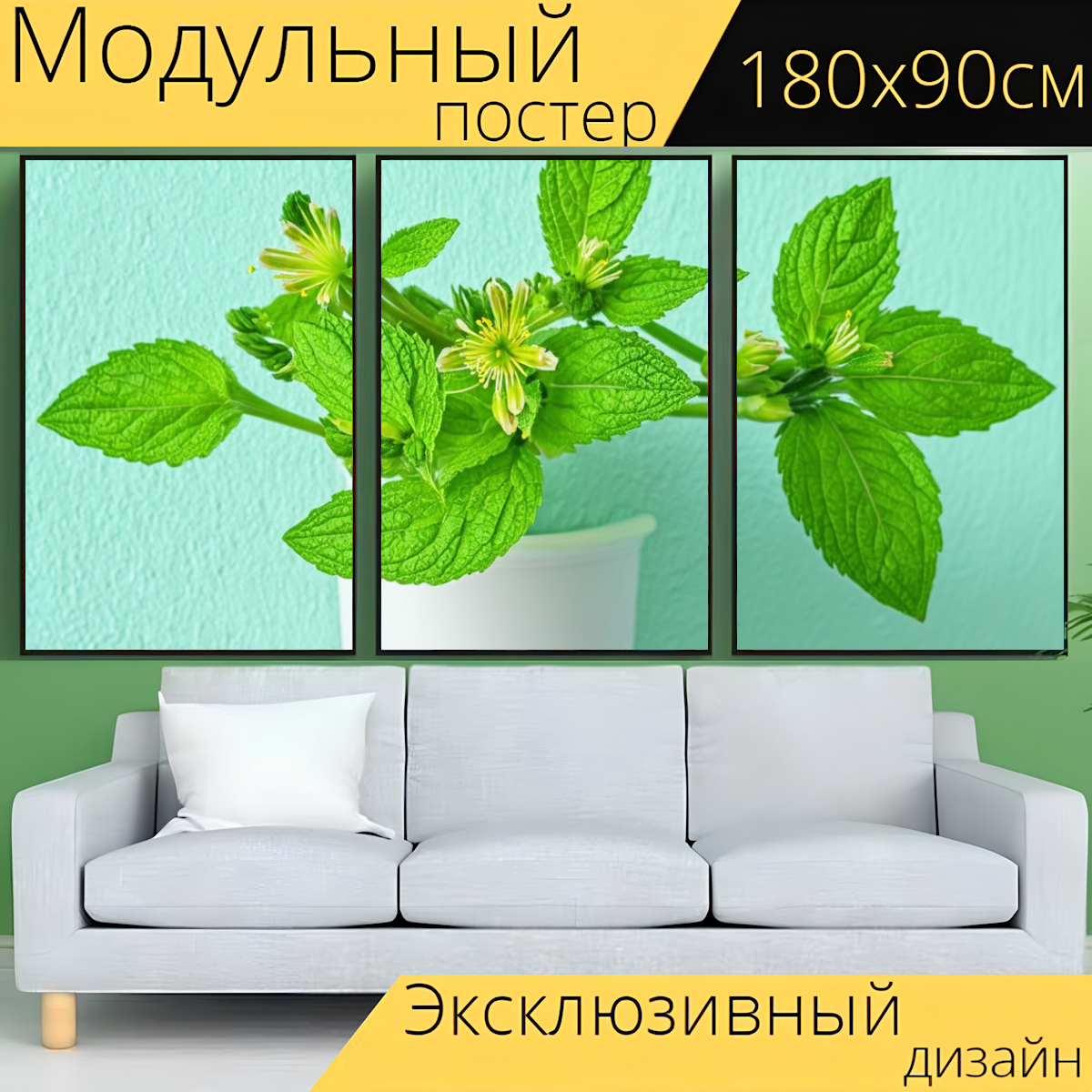Модульный постер "Мятный цвет: очаровательные мятные цветы расцветают на фоне мятной стены, создавая гармоничную композицию." 180 x 90 см. для интерьера на стену в тубусе