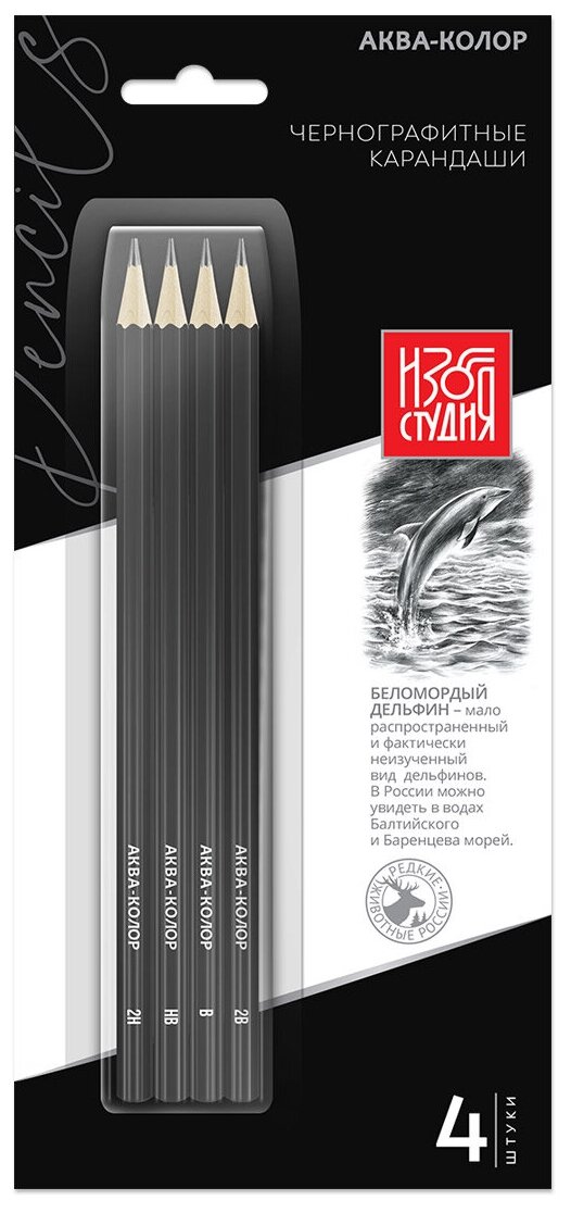 Аква-колор Изостудия IZO-GP4B Набор заточенных чернографитных карандашей ассорти 4 шт
