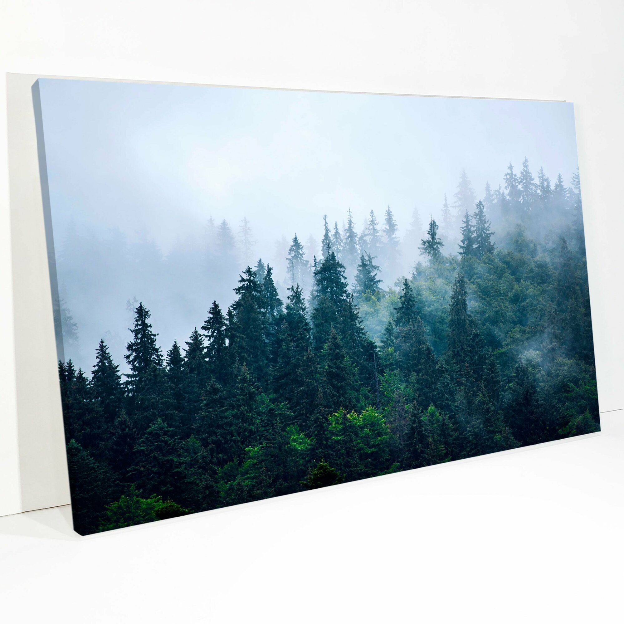 Картина Лес, туман, природа на холсте 50х70см