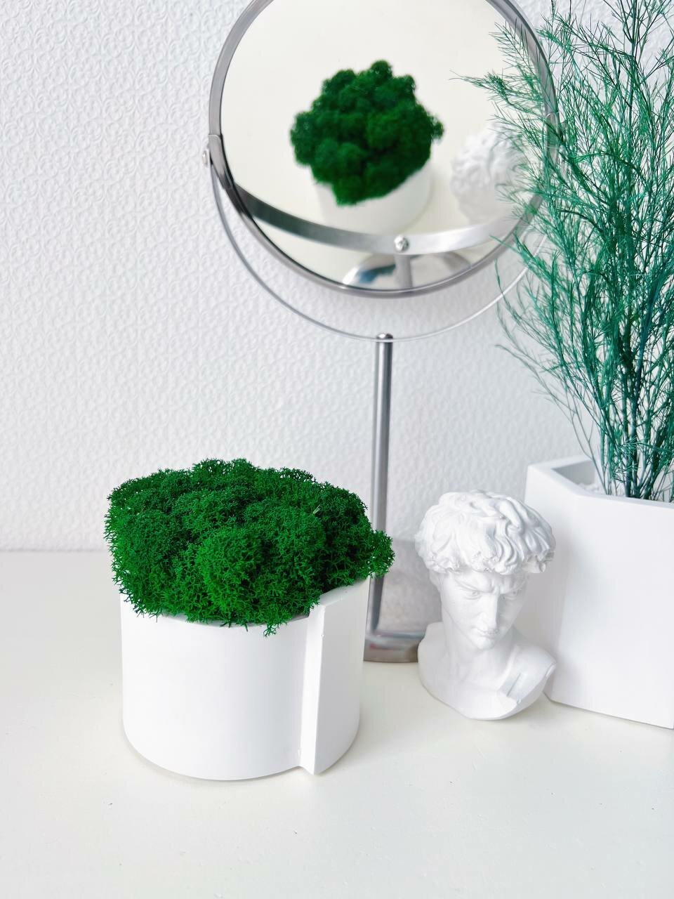 Кашпо со стабилизированным мхом Molecula Decor