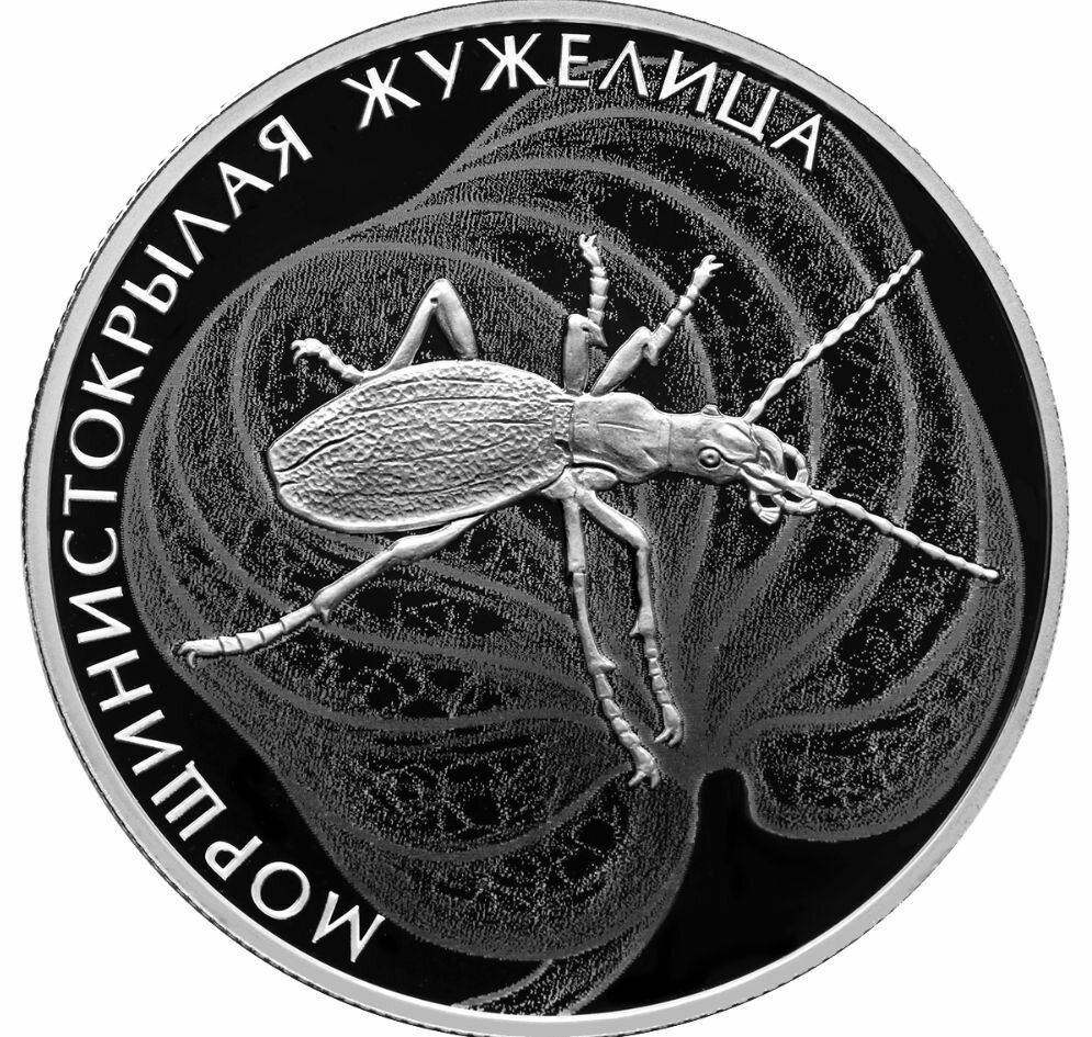 Монета серебряная 2 рубля 2024 г. Морщинистокрылая жужелица