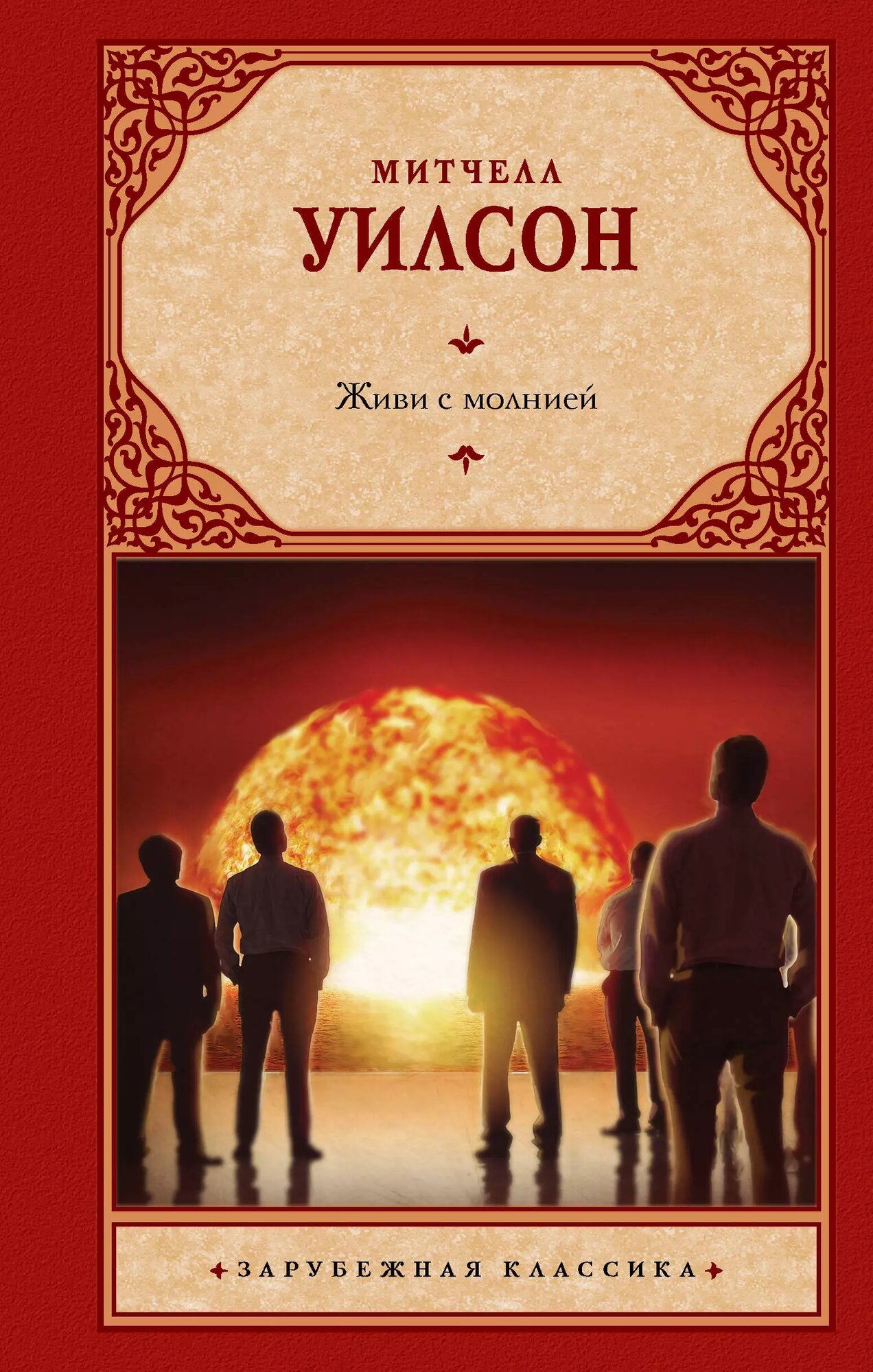 Живи с молнией: роман