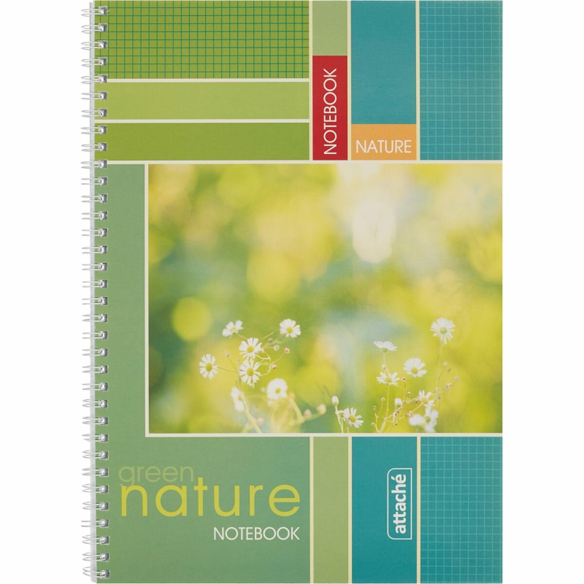 Тетрадь общая 80л, А4 Attache (клетка, спираль), 32шт.