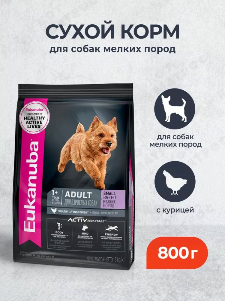 Сухой корм Eukanuba Adult Small breed для взрослых собак мелких пород, 800 г