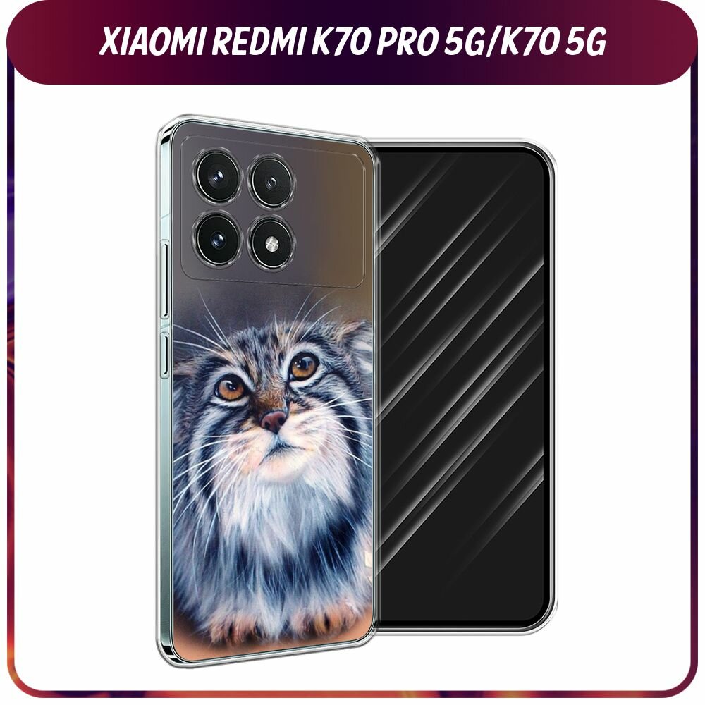 Чехол на Xiaomi Redmi K70 Pro 5G/K70 5G//Poco F6 Pro / Сяоми Редми K70 Про 5G/K70 5G/Поко F6 Pro с принтом "Кот манул 2"