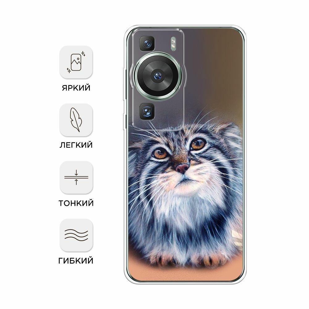 Чехол на Huawei P60/P60 Pro / Хуавей P60/P60 Про с принтом "Кот манул 2" — фото 1