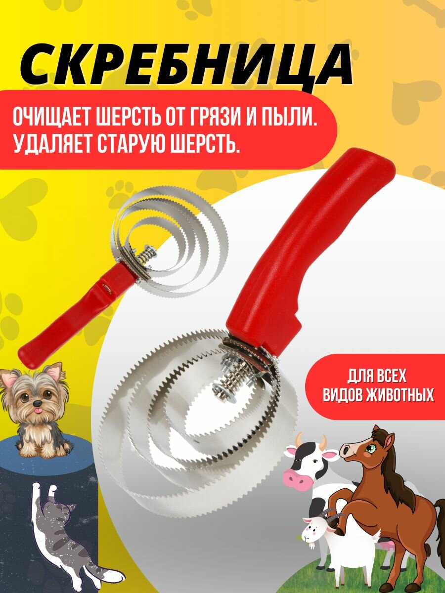 Sweethorse/Скребница для лошади двусторонняя металлическая, 23х10см