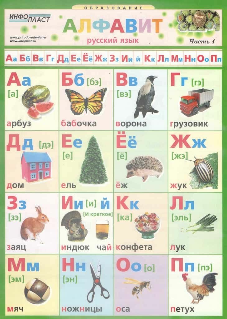 Информационно-справочная таблица "Русский язык. Алфавит" ч.4 (А4, лам.)