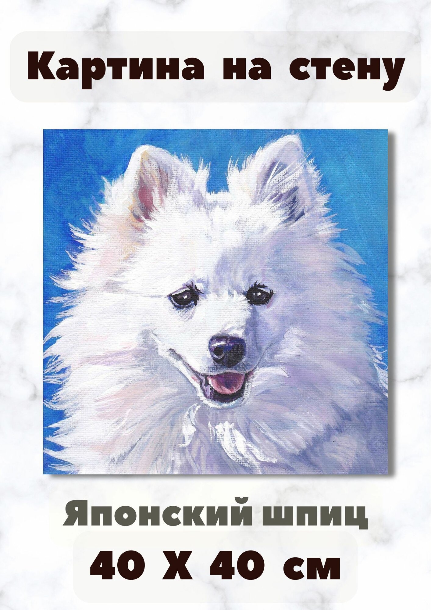 Картина на холсте в рисованном стиле с маленькой собакой 40х40 "Японский шпиц"