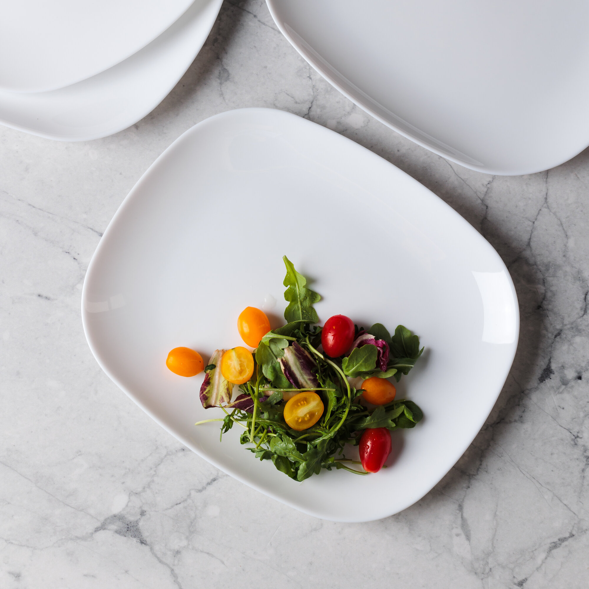 Набор блюд для подачи 28*23 см 6 шт Arcoroc Evolution (Luminarc)