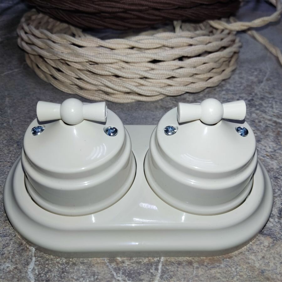 Комплект из двух выключателей 2-клавишных поворотных открытой установки Ретро с двухместной рамкой, цвет бежевый