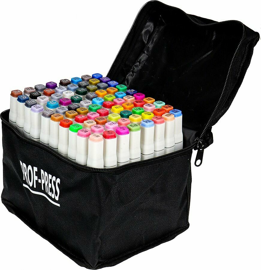 Набор маркеров Проф-пресс Двусторонних "Colorful Tones" 80 шт, Скошенные/Пулевидный Наконечник (МП-7948)