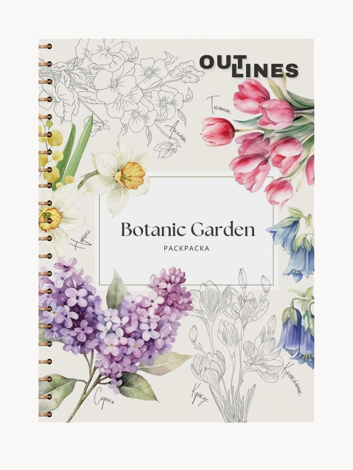 Раскраска скетчбук OUTLINES Botanic Garden Ботанический сад (249BG)