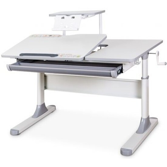 Парта Ergokids Vancouver Multicolor BD-620 W/MC + S-50 с полкой