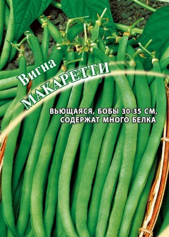 Семена Вигна Макаретти 10 шт.