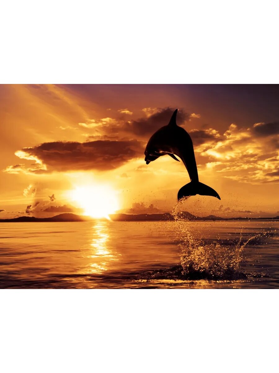 Алмазная мозаика картины 33*43 см