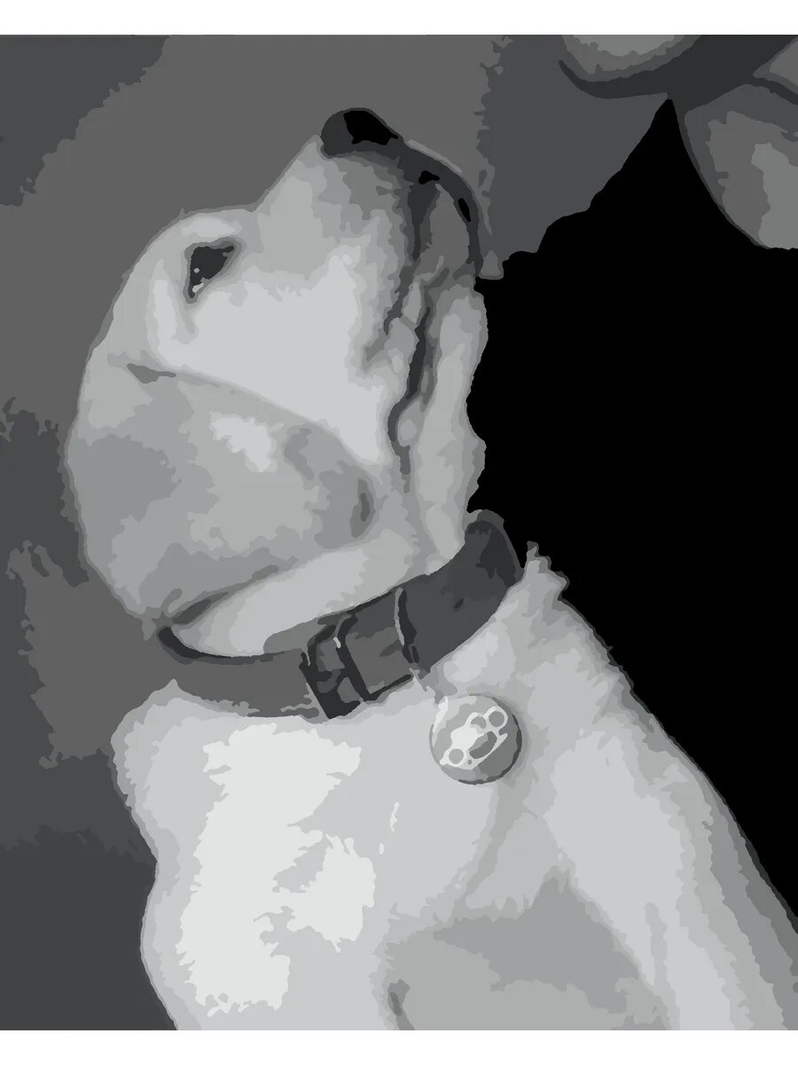 Картина по номерам Тут рисуют "Лабрадор", холст на подрамнике