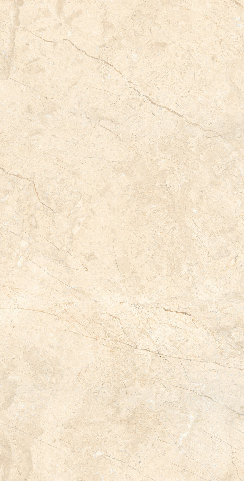 Керамогранит 1200 × 600 мм MARCUS CREMANO Матовая (цена за 1 плитку 0,72м2)