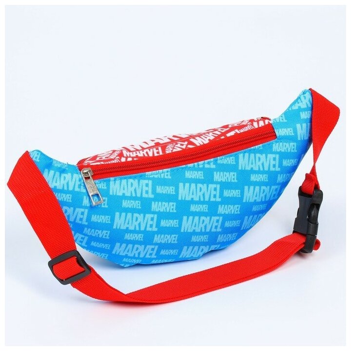 Сумка поясная