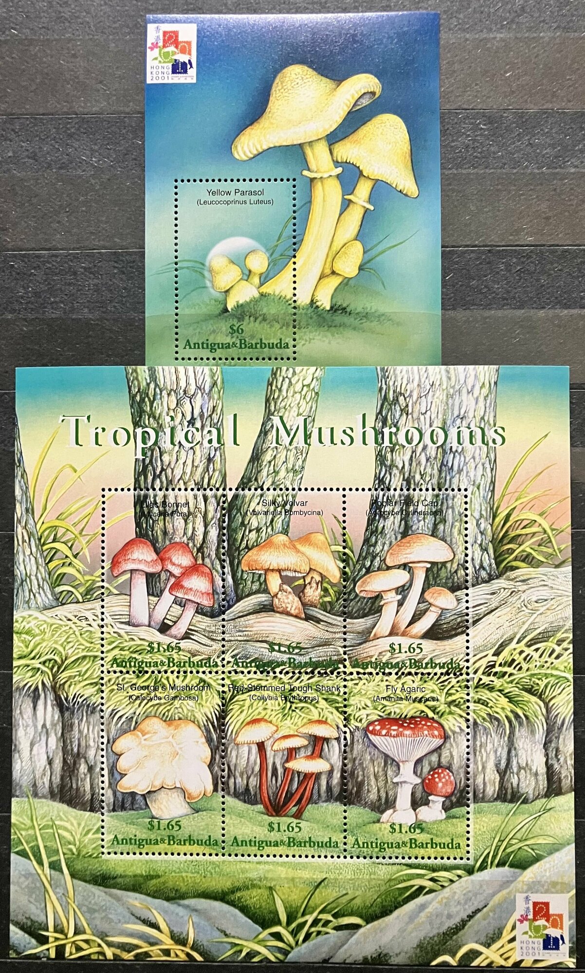 Антигуа и Барбуда 2001, Флора. Грибы