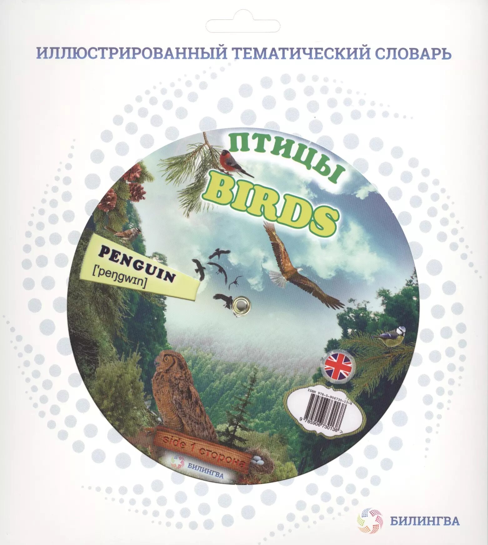 Тематический словарь BIRDS (Птицы).