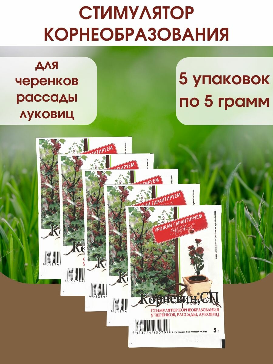 Корневин Стимулятор образования и роста корней, Упаковка - 5 гр, 5 Упаковок