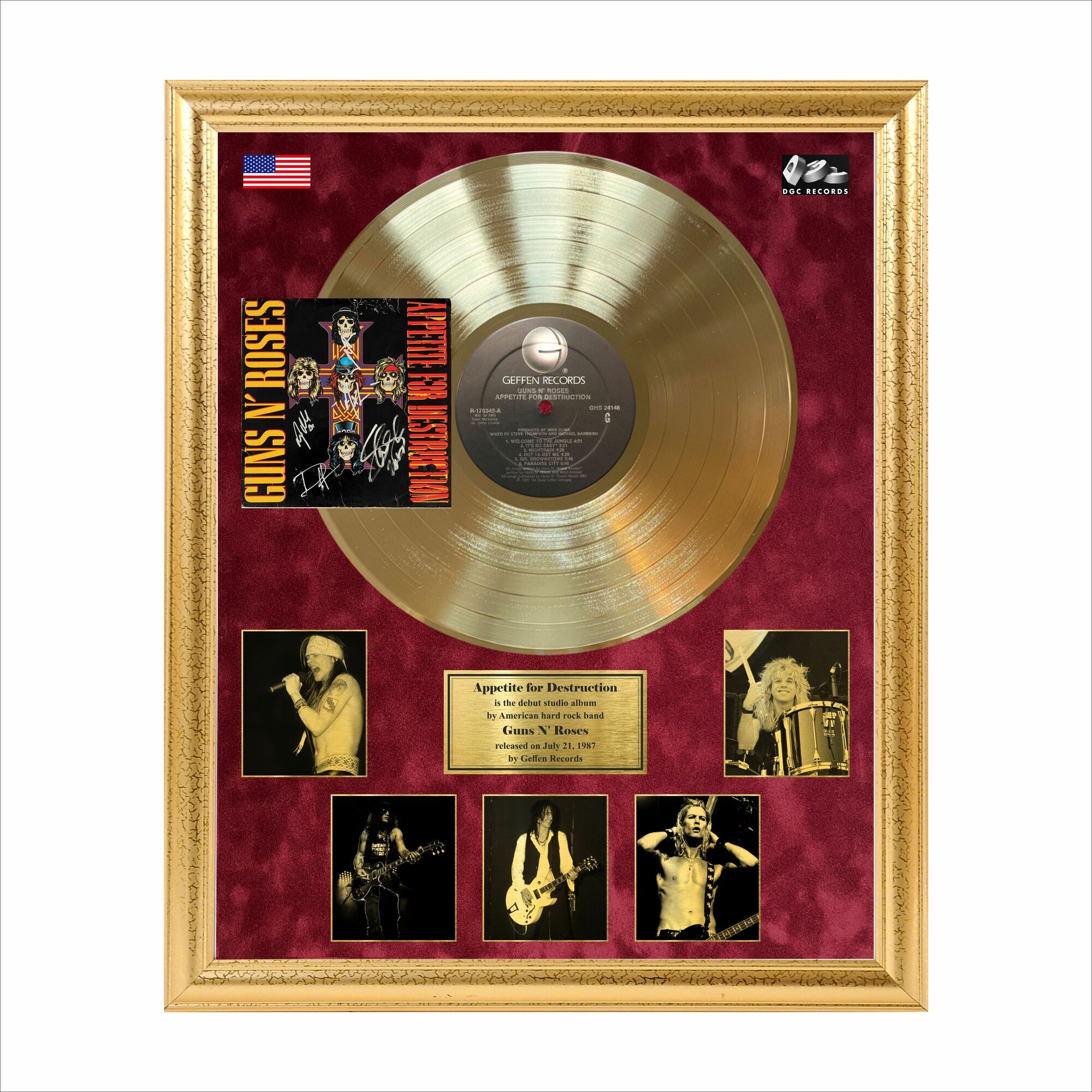 Guns n roses Appetit for destruction картина с винилом