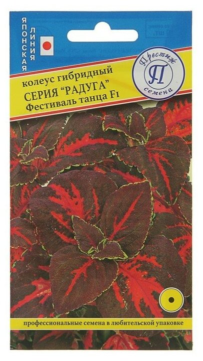 Семена цветов Колеус «Радуга - Фестиваль танца», F1, 10 шт, «Престиж семена»