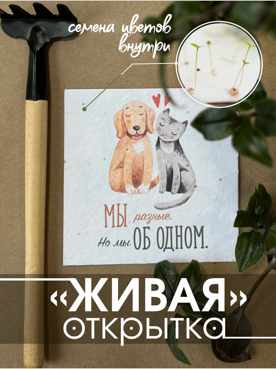 Живая открытка «Мы разные» – оригинальный подарок для девушки, парня, пары или друзей