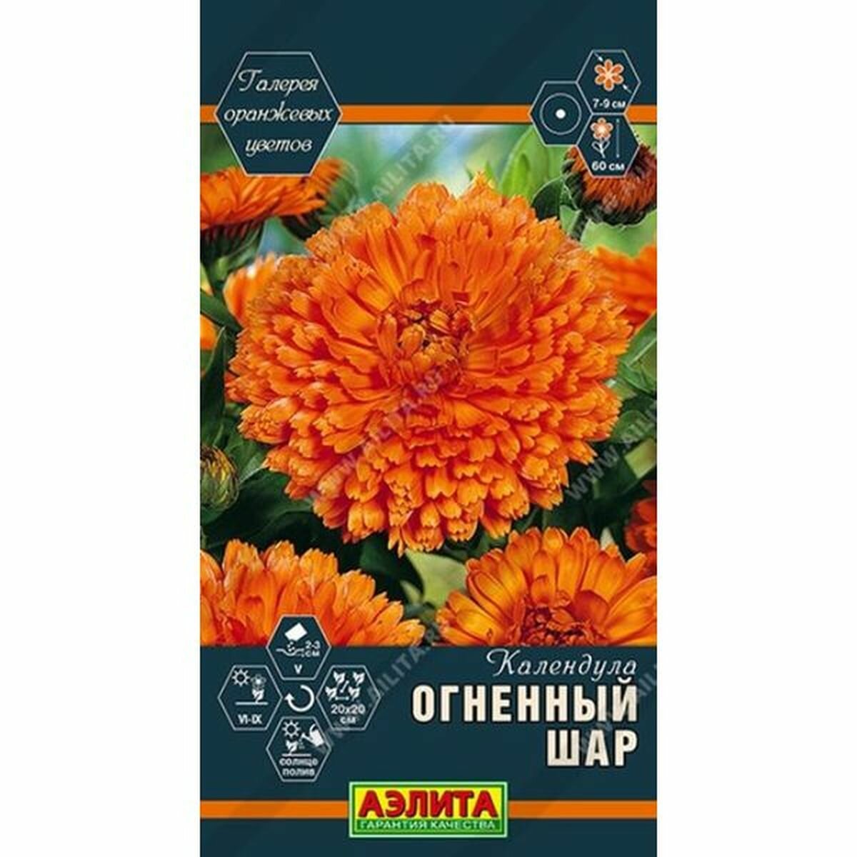 Семена Календула Огненный шар, однолетник, Аэлита, 1 пачка - 0.3г семян