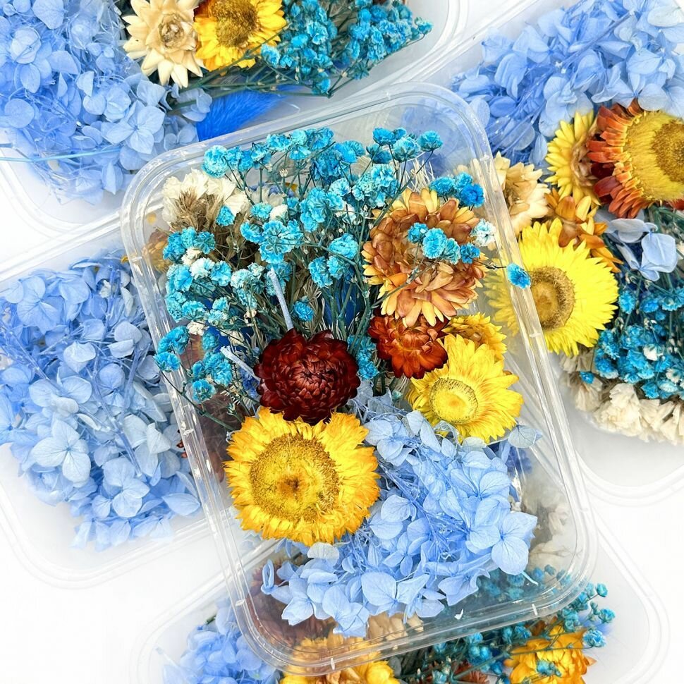 Набор сухоцветов Epoxy Master, стабилизированные, для эпоксидной смолы