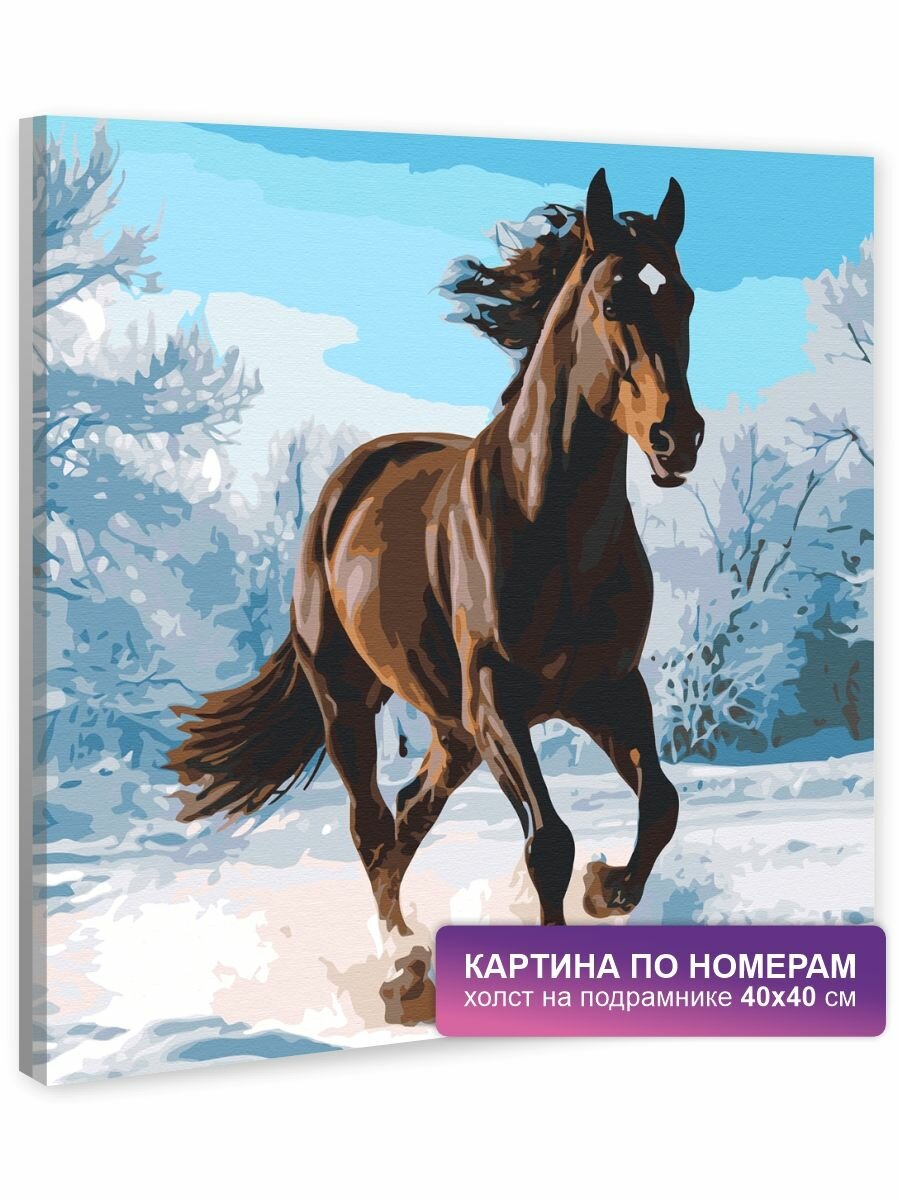 Картина по номерам на холсте с подрамником 40х40 см. Природа, животные, рыбы, птицы. Лошади и кони. " Лошади", арт. 7024/