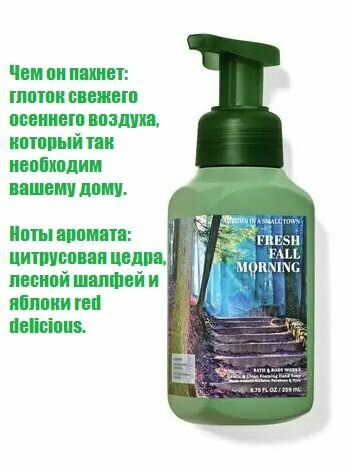 Bath and Body Works мыло пенка Fresh Fall Morning (259 мл)