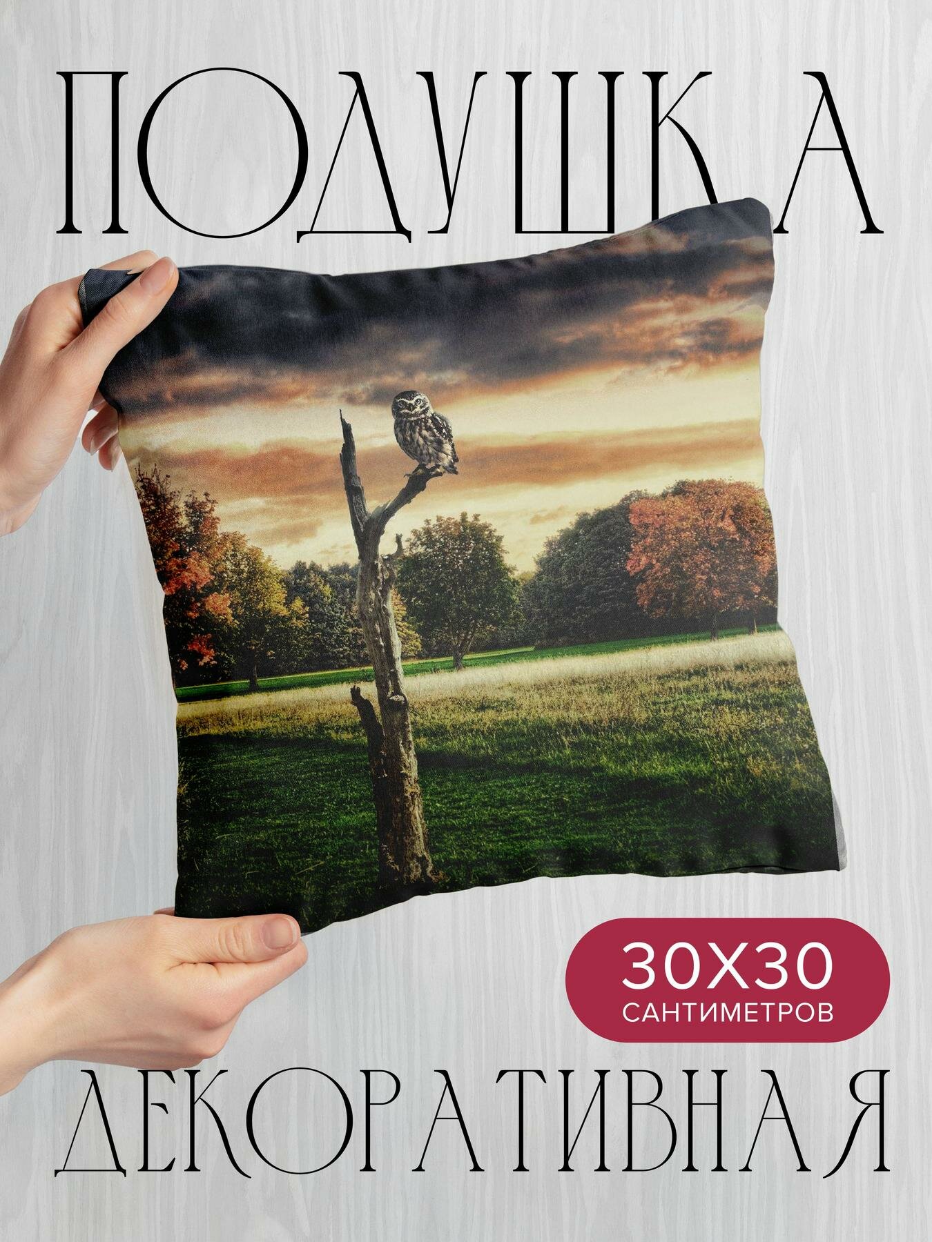 Подушка декоративная, 30x30см / Животные / сова / дерево