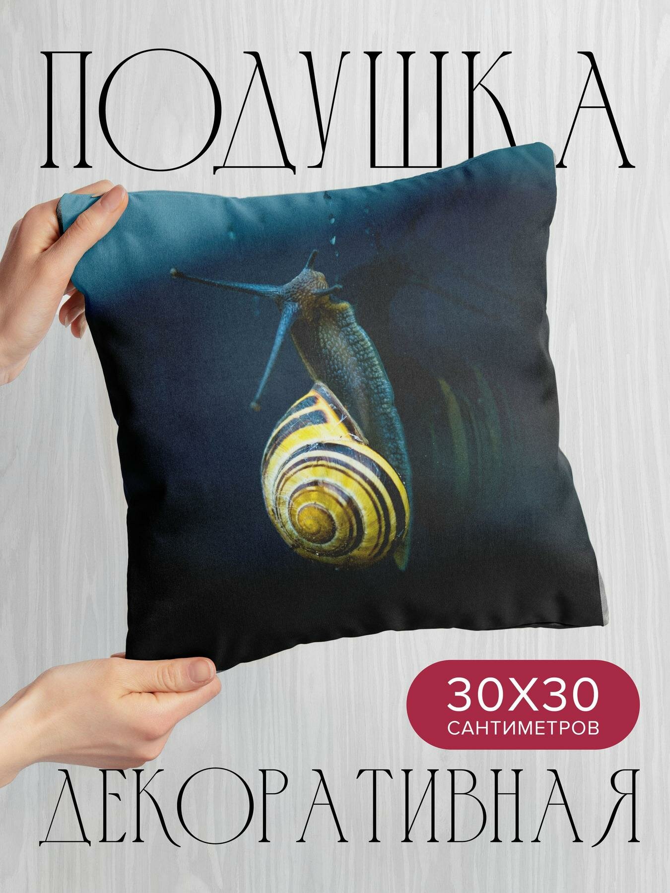 Подушка декоративная, 30x30см / Макро / улитка / моллюск