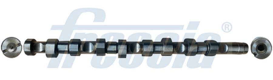 FRECCIA CM052142 Распредвал ДВС Citroen, Peugeot 2.0HDI 99-, Fiat