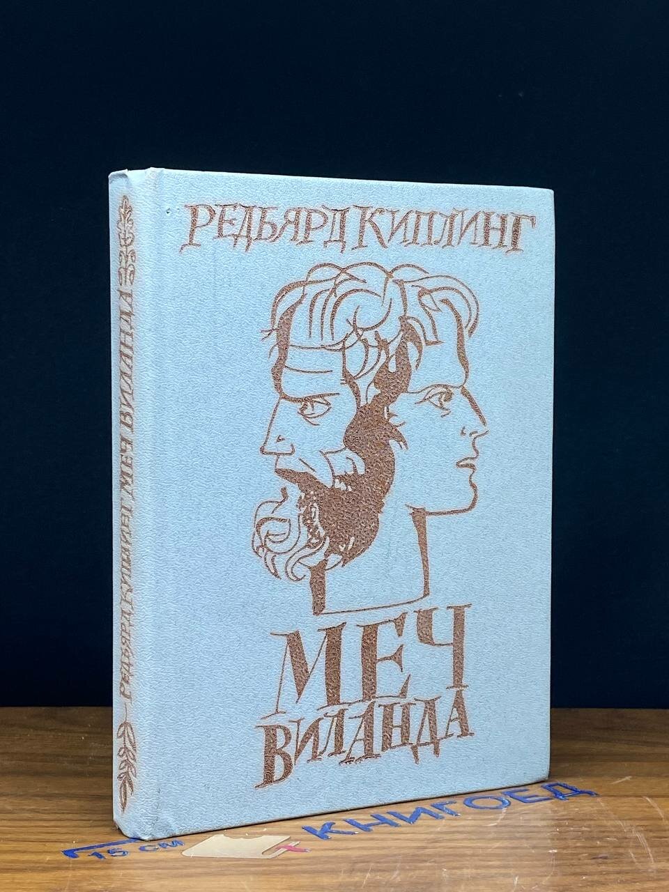 Книга. Меч Виланда 1984 (2044212904006)