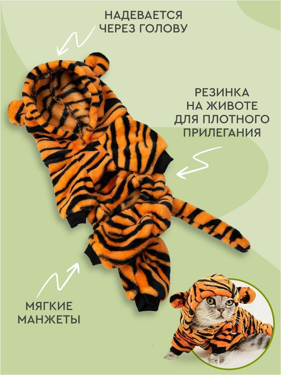 Одежда для животных — фото 1