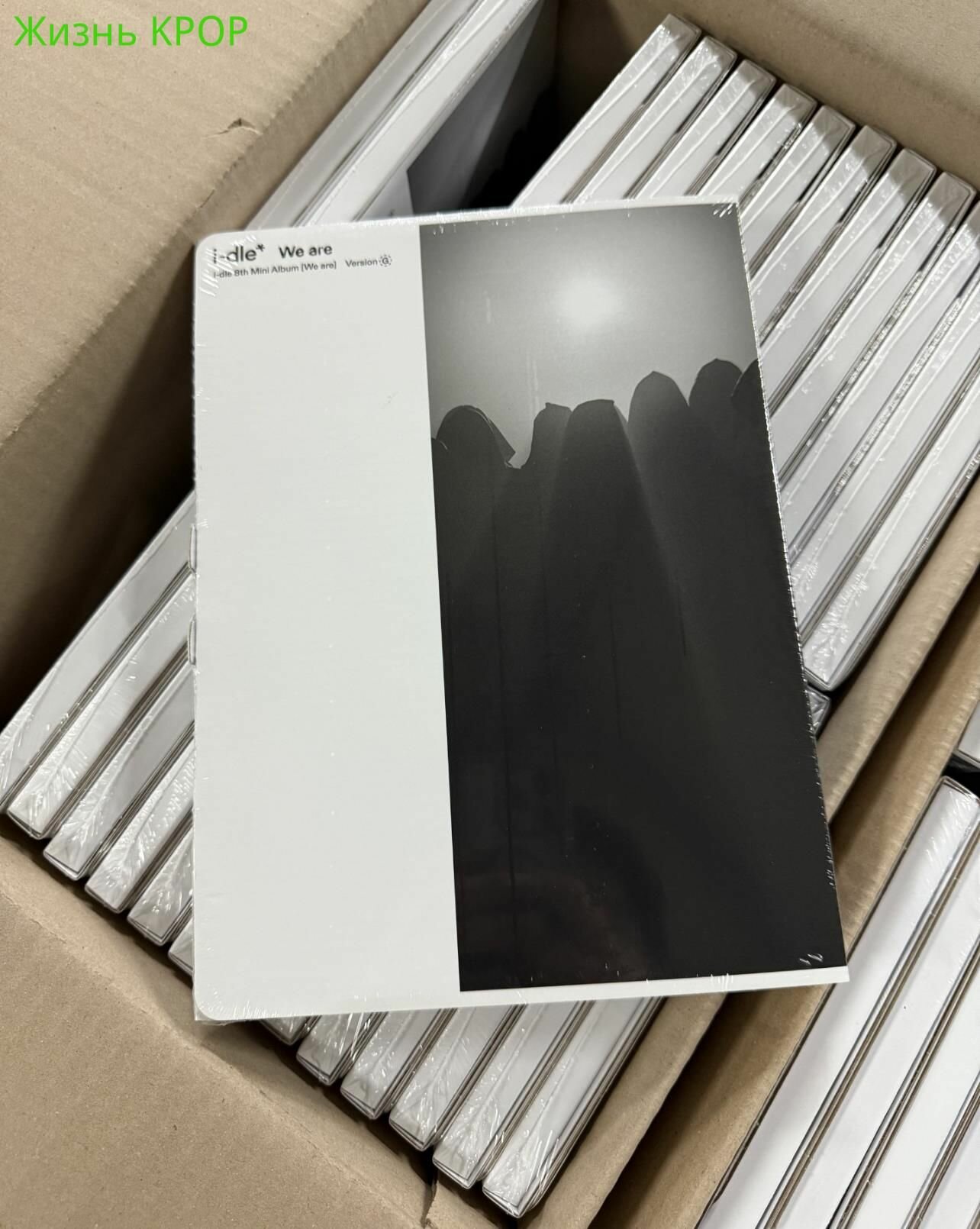 Альбом i-dle - WE ARE 8th Mini Album