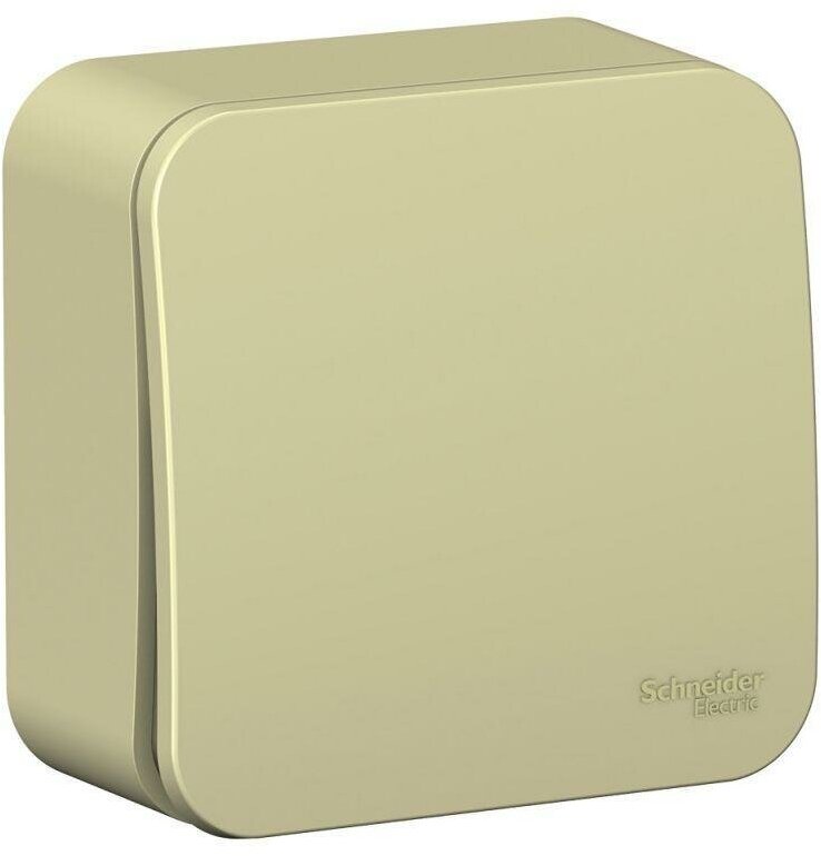 Выключатель 1-кл. ОП Blanca 10А IP20 (сх. 1) 250В с изолир. пластиной беж. SE BLNVA101017