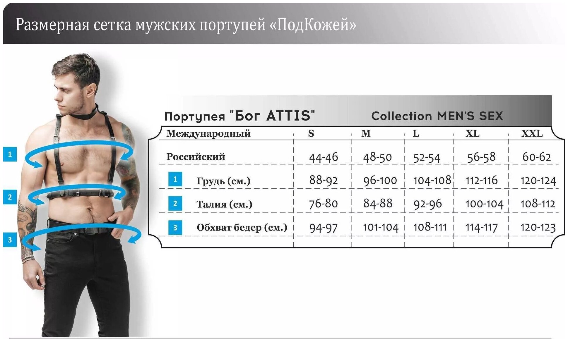 Портупея "ATTIS" (M/L) — фото 1