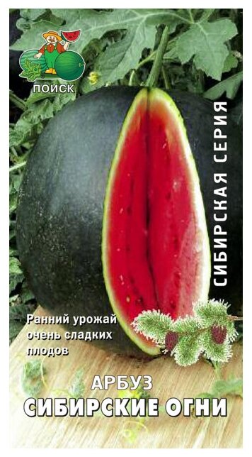 Сибирские огни - семена арбуза, 15 шт, раннеспелый сорт, устойчив к болезням и жаре