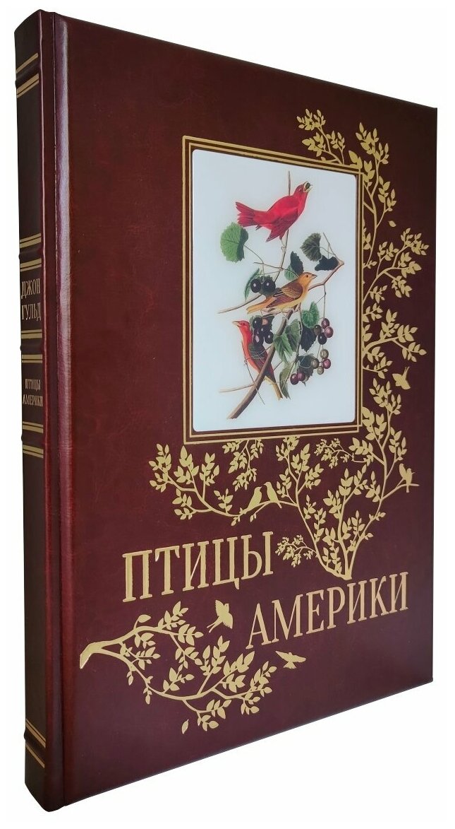 Альбом Птицы Америки